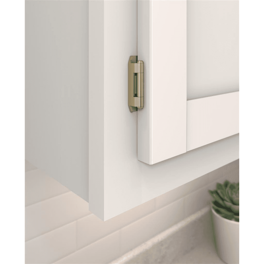 Double Demountable Hinge, Self-Closing, 3/8" Inset, Burnished Brass ...
