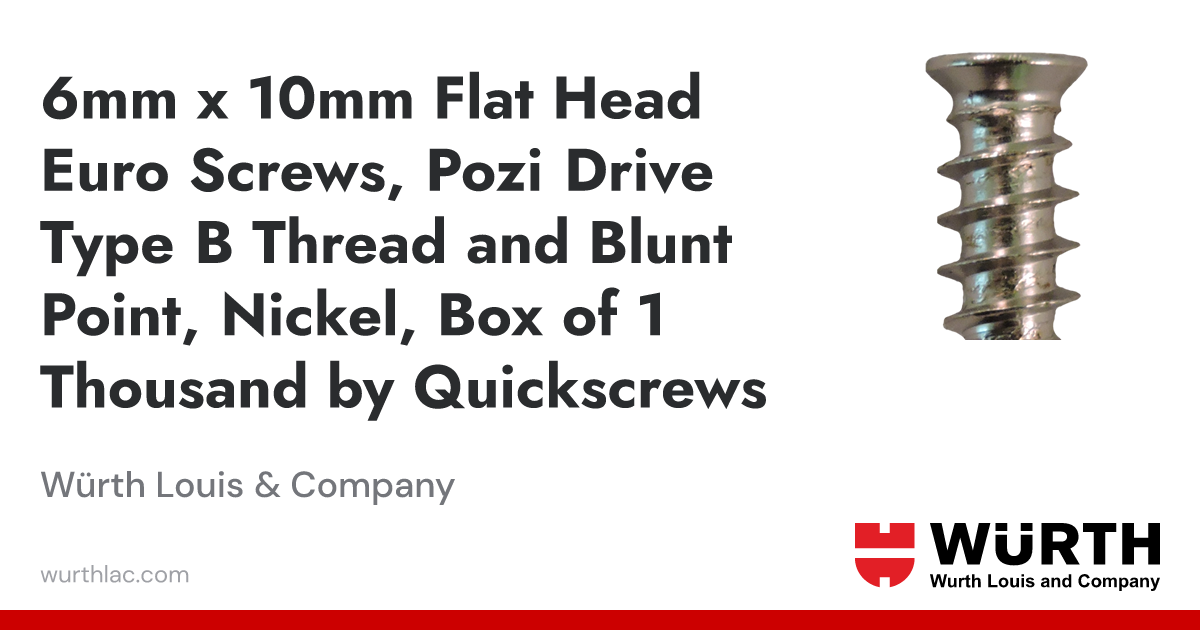 6mm x 10mm Flat Head Euro Screws, Pozi Drive Type B Thread and Blunt Point, Nickel, Box of 1 ...